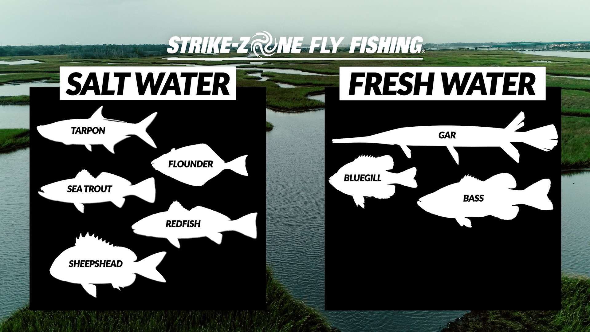 Check out the new addition: Strike-Zone Fly Fishing – Strike-Zone Fishing